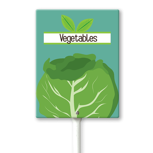 Eveokoki Farming Vegetable Garden Sign Cabbage Sign with Stake 7x8 ...