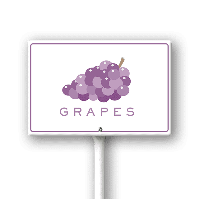 Eveokoki Farming Vegetable Garden Sign Grapes 12"x8" Rectangle Aluminum ...