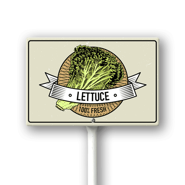Eveokoki Farming Vegetable Garden Sign Lettuce 12"x8" Rectangle ...