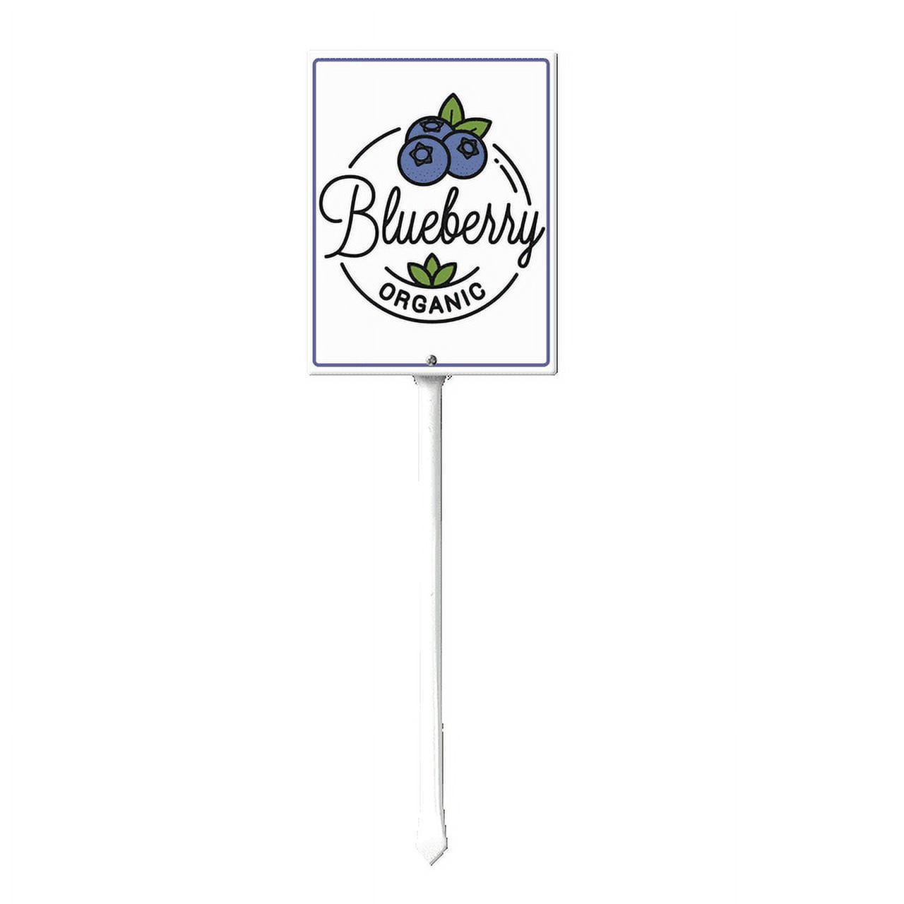 Eveokoki Fruit Signs For Garden With Stake Blueberry Yard Sign ...