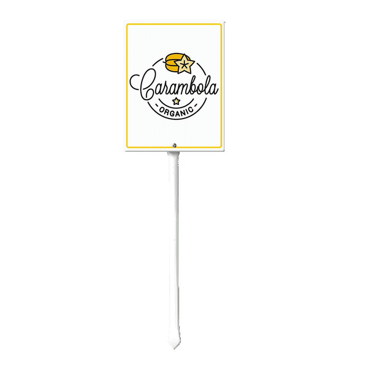 Eveokoki Fruit Signs For Garden With Stake Carambola Yard Sign ...