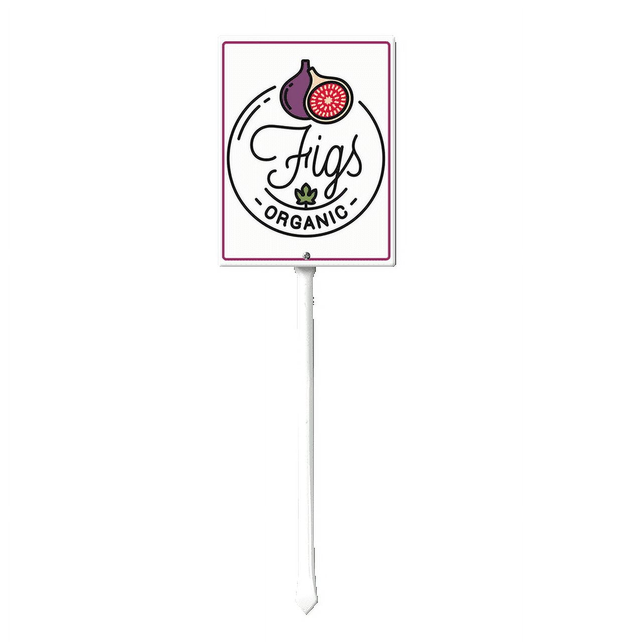 Eveokoki Fruit Signs For Garden With Stake Figs Yard Sign Vegetable ...