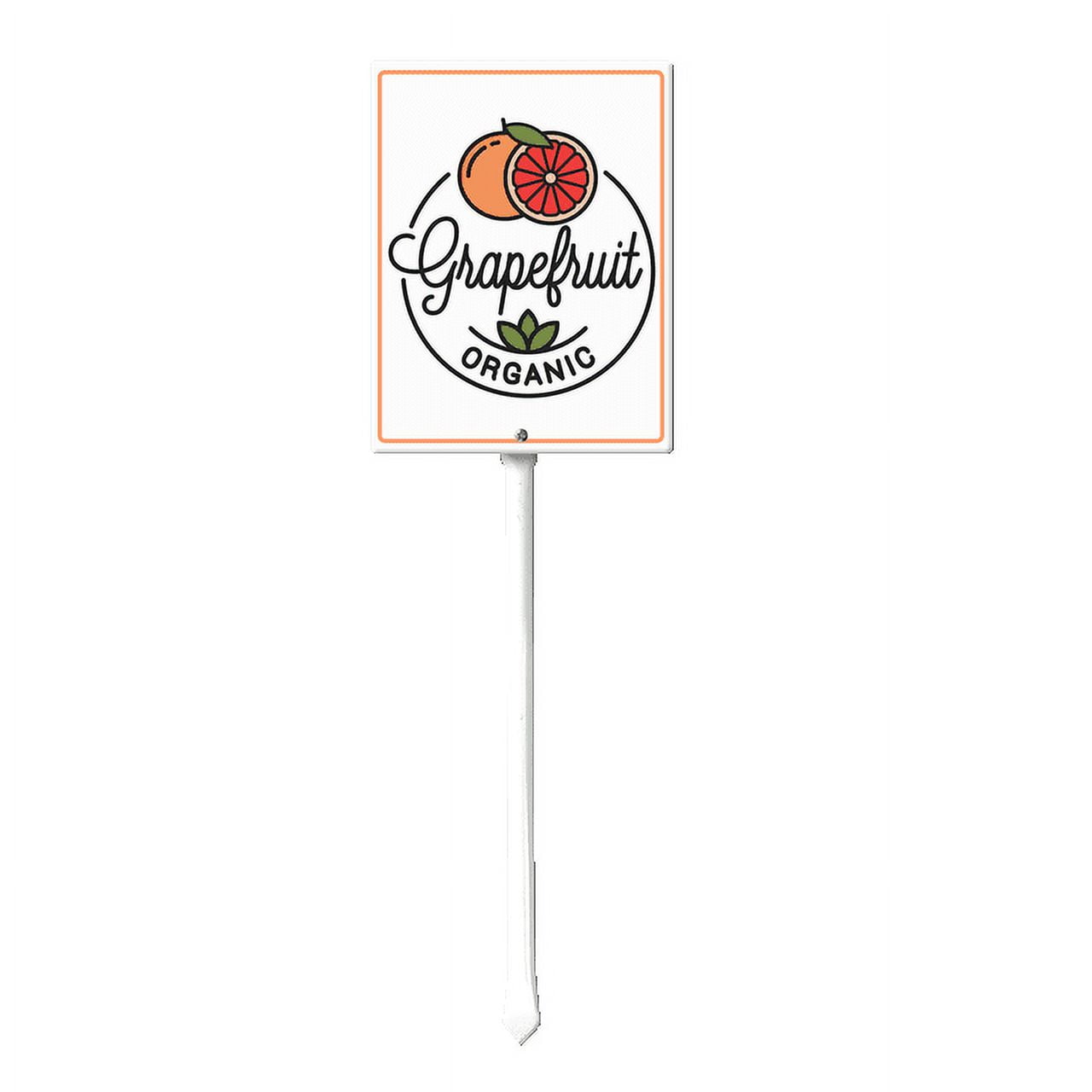 Eveokoki Fruit Signs For Garden With Stake Grapefruit Yard Sign ...