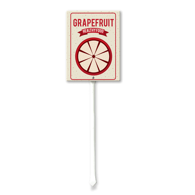 Eveokoki Fruit Signs For Garden With Stake Grapefruit Yard Sign ...