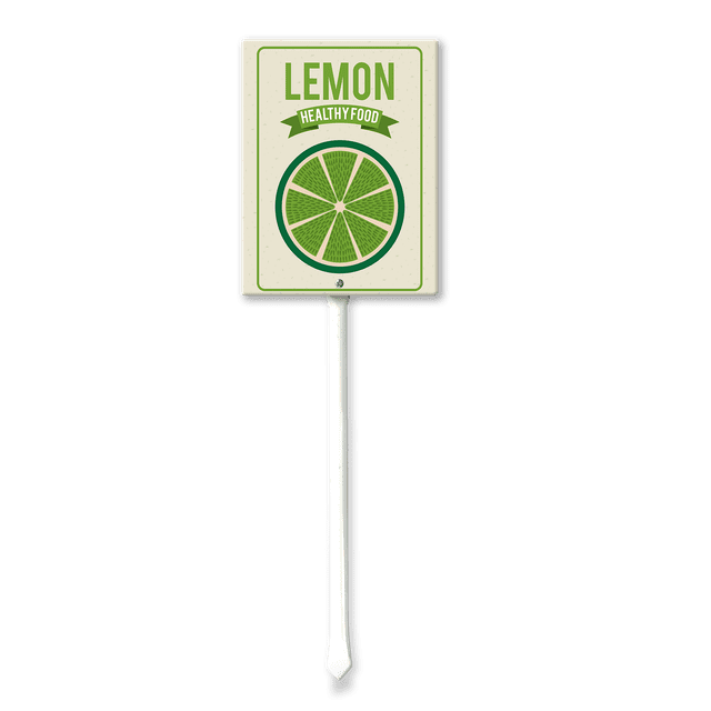 Eveokoki Fruit Signs For Garden With Stake Lemon Yard Sign Vegetable ...