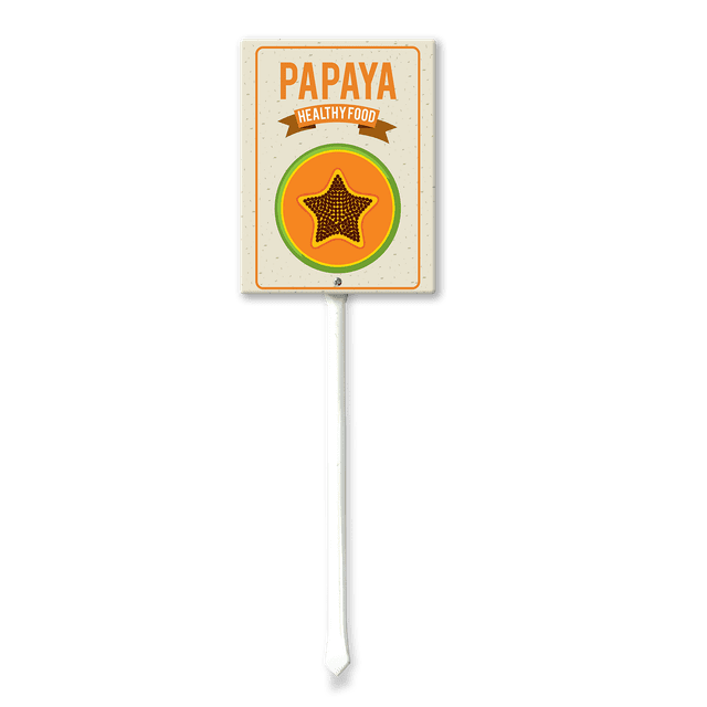 Eveokoki Fruit Signs For Garden With Stake Papaya Yard Sign Vegetable ...