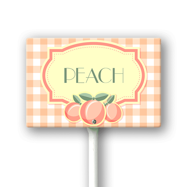 Eveokoki Fruit Signs For Garden With Stake Peach Yard Sign Vegetable ...