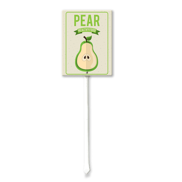 Eveokoki Fruit Signs For Garden With Stake Pear Yard Sign Vegetable ...