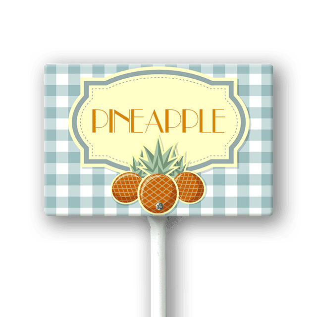 Eveokoki Fruit Signs For Garden With Stake Pineapple Yard Sign ...