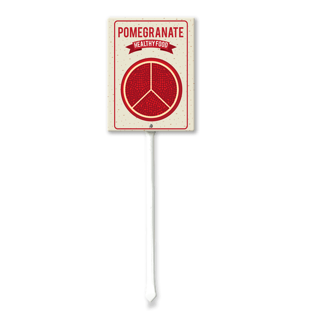 Eveokoki Fruit Signs For Garden With Stake Pomegranate Yard Sign ...