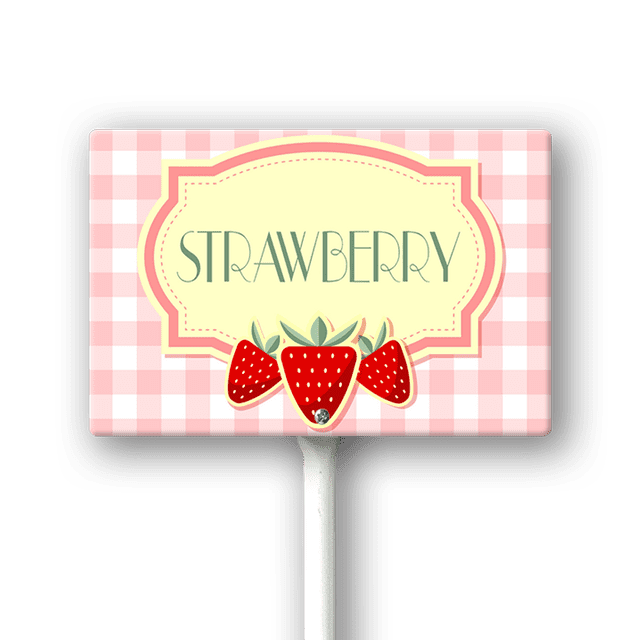 Eveokoki Fruit Signs For Garden With Stake Strawberry Yard Sign ...