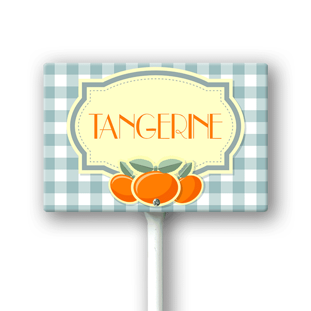 Eveokoki Fruit Signs For Garden With Stake Tangerine Yard Sign ...