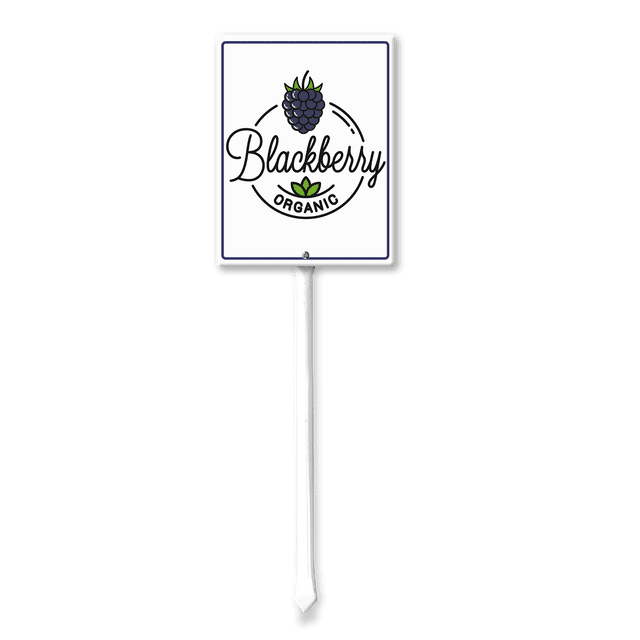 Eveokoki Fruit Signs For Garden With Stake Blackberry Yard Sign ...
