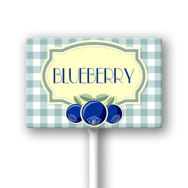 Eveokoki Fruit Signs For Garden With Stake Blueberry Yard Sign ...