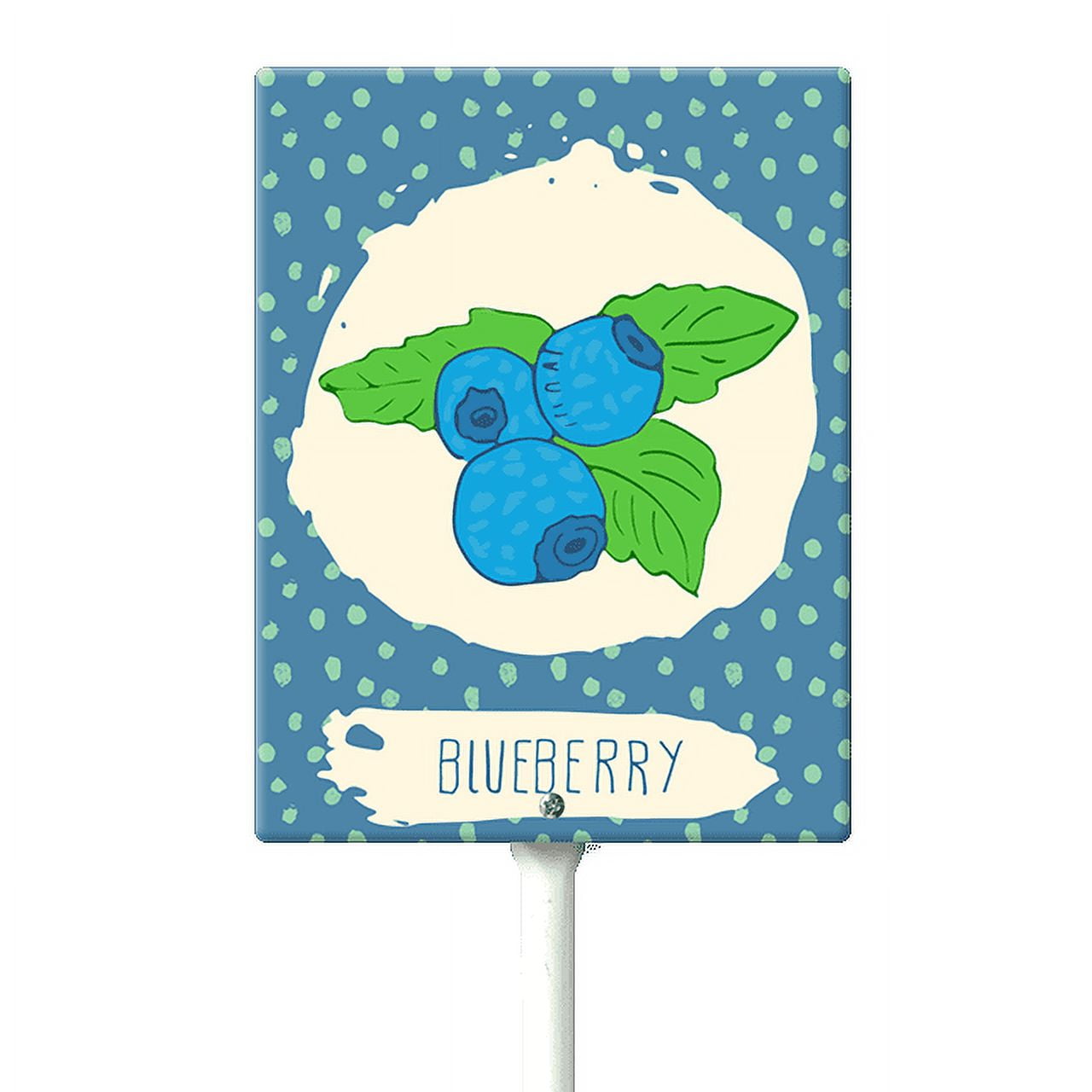 Eveokoki Fruit Signs For Garden With Stake Blueberry Yard Sign ...