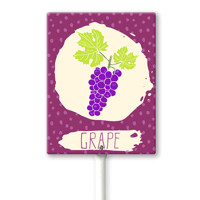 Eveokoki Fruit Signs For Garden With Stake Grape Yard Sign Vegetable ...