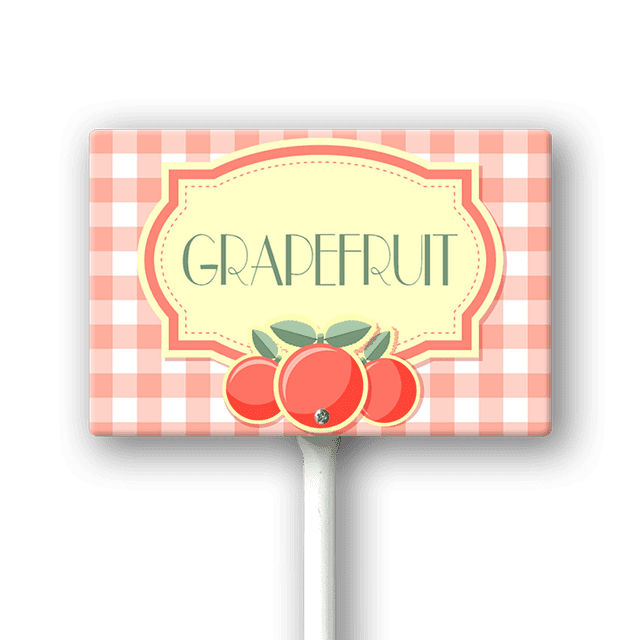 Eveokoki Fruit Signs For Garden With Stake Grapefruit Yard Sign ...