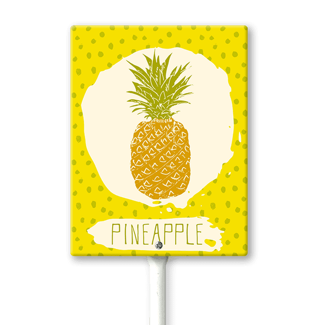 Eveokoki Fruit Signs For Garden With Stake Pineapple Yard Sign ...