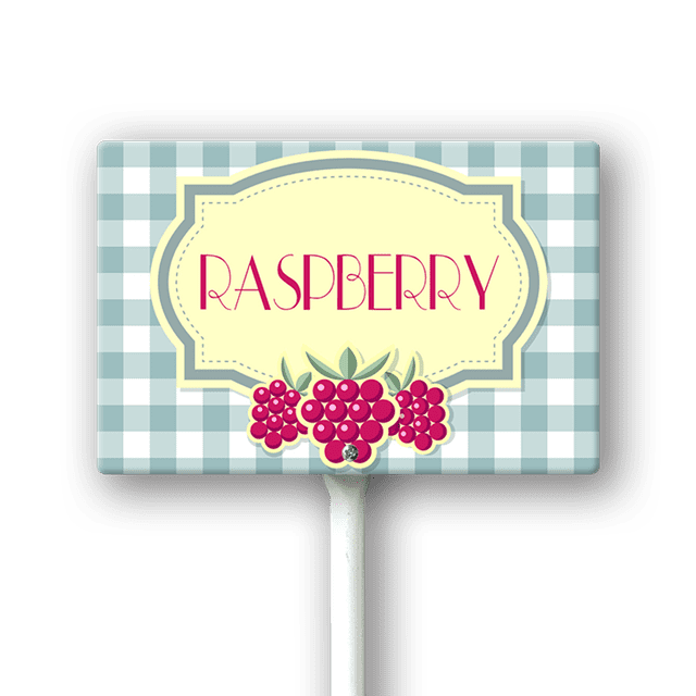Eveokoki Fruit Signs For Garden With Stake Raspberry Yard Sign ...