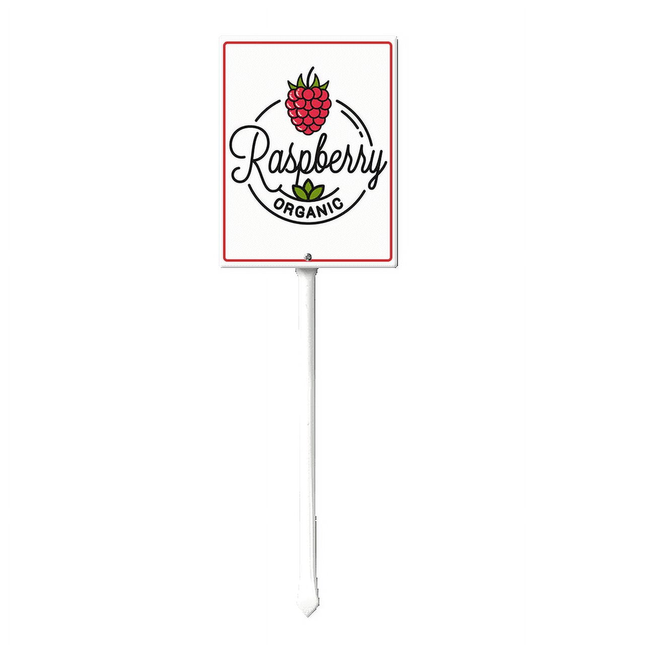 Eveokoki Fruit Signs For Garden With Stake Raspberry Yard Sign ...