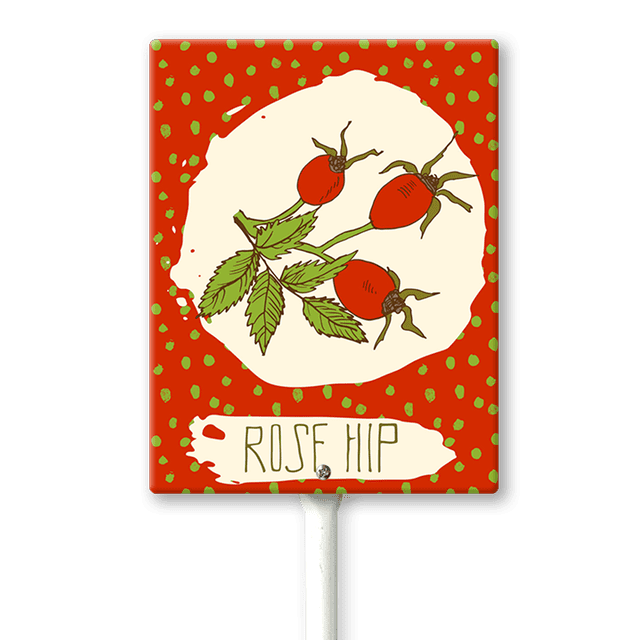 Eveokoki Fruit Signs For Garden With Stake Rose Hip Yard Sign Vegetable ...