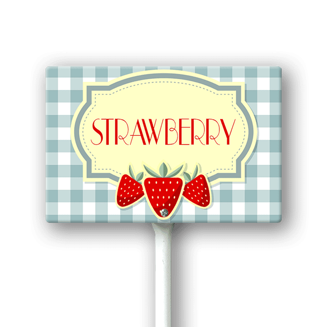 Eveokoki Fruit Signs For Garden With Stake Strawberry Yard Sign ...