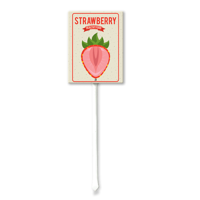 Eveokoki Fruit Signs For Garden With Stake Strawberry Yard Sign ...
