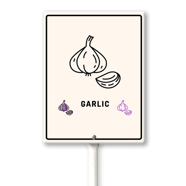 Eveokoki Garden Signs For Vegetables With Stake Garlic Garden Signs For ...