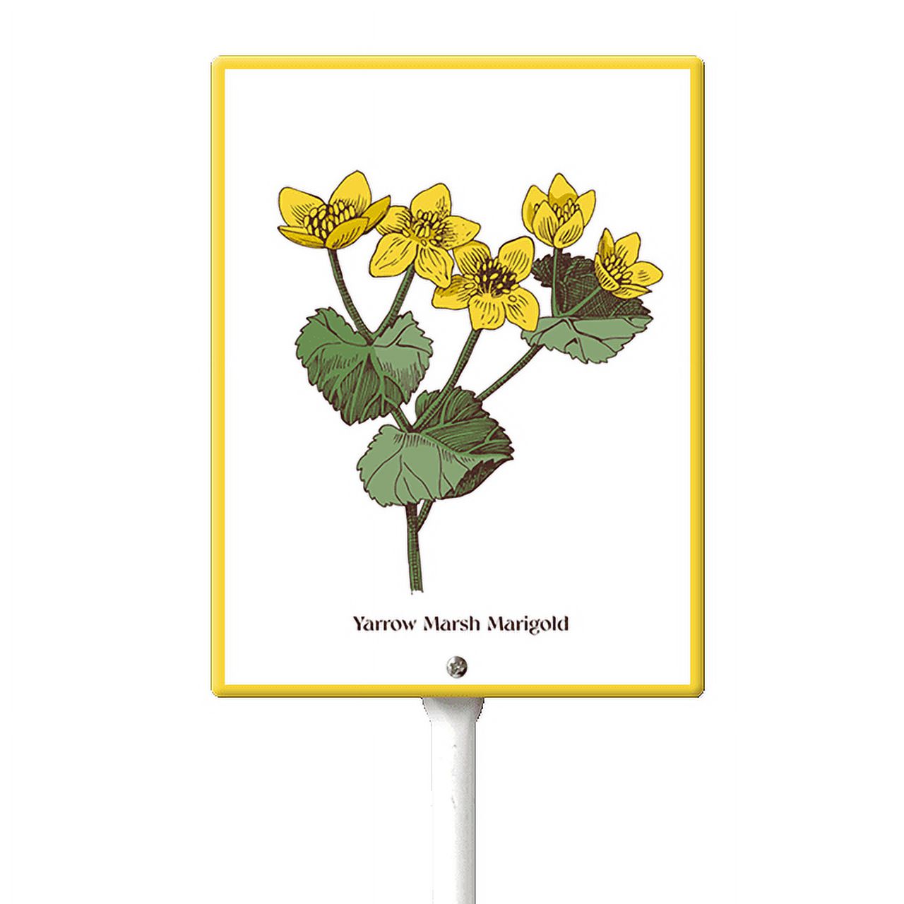 Eveokoki Marsh Marigolds Sign For Yard With Stake, Herb Yard Sign ...