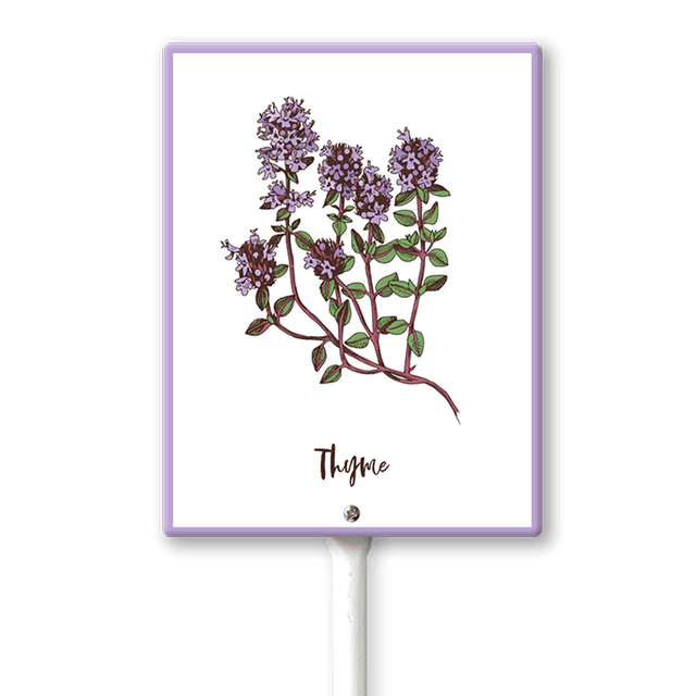 Eveokoki Thyme Sign For Yard With Stake, Herb Yard Sign, Lawnmower Sign ...