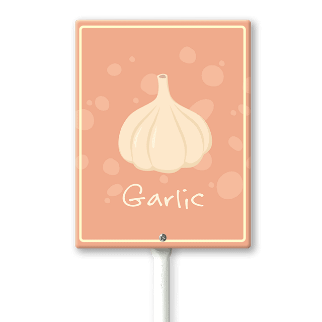 Eveokoki Vegetable Signs For Garden With Stake Carrot Yard Sign ...