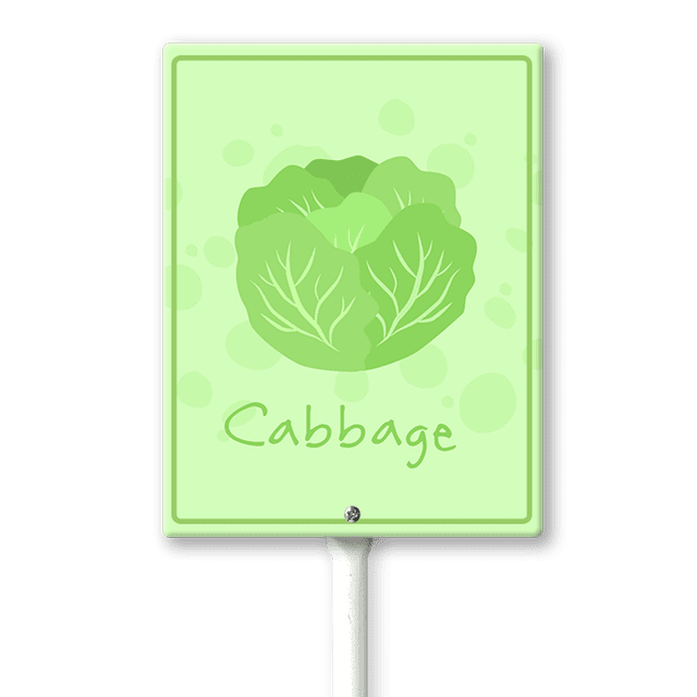 Eveokoki Vegetable Signs For Garden With Stake Eggplant Yard Sign ...
