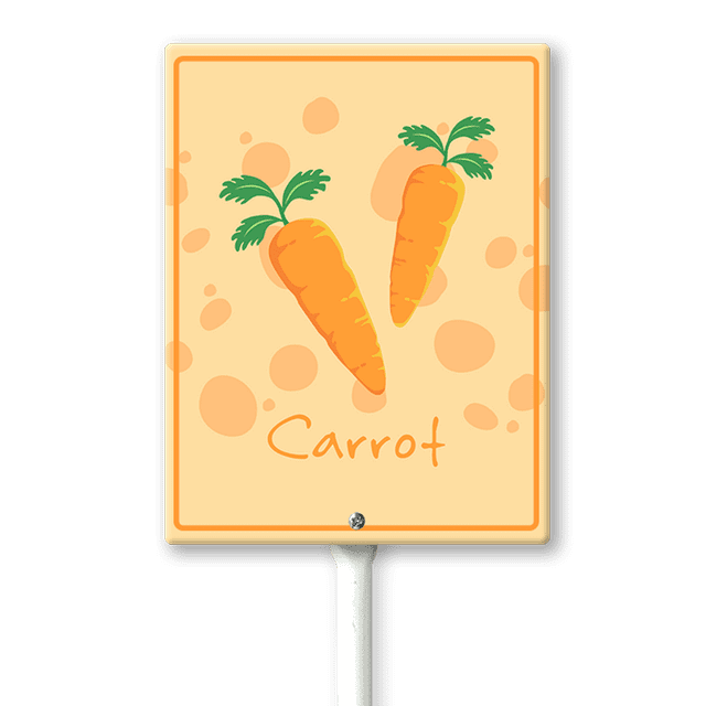 Eveokoki Vegetable Signs For Garden With Stake Onion Yard Sign ...