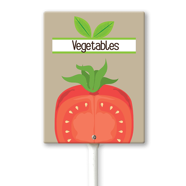 Eveokoki Vegetable Signs For Garden With Stake Organic Broccoli Yard ...