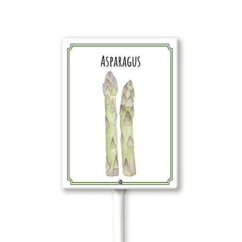 Eveokoki Vegetable Signs For Garden With Stake Asparagus Yard Sign ...