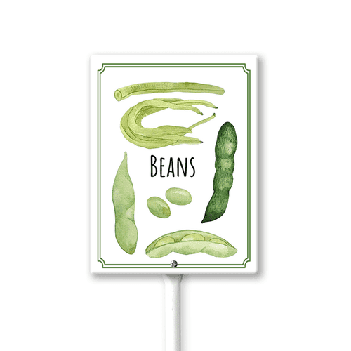 Eveokoki Vegetable Signs For Garden With Stake Beans Yard Sign ...