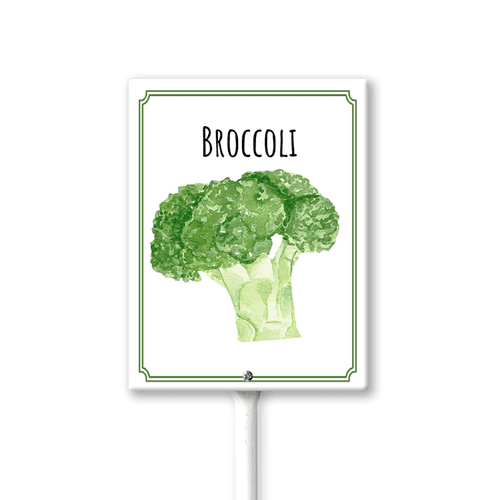 Eveokoki Vegetable Signs For Garden With Stake Broccoli Yard Sign ...