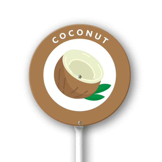 Eveokoki Vegetable Signs For Garden With Stake Coconut Yard Sign ...