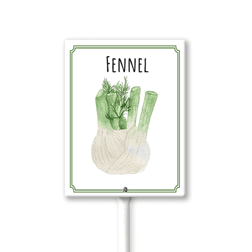Eveokoki Vegetable Signs For Garden With Stake Fennel Yard Sign ...