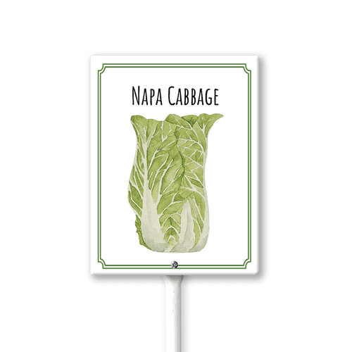Eveokoki Vegetable Signs For Garden With Stake Napa Cabbage Yard Sign ...