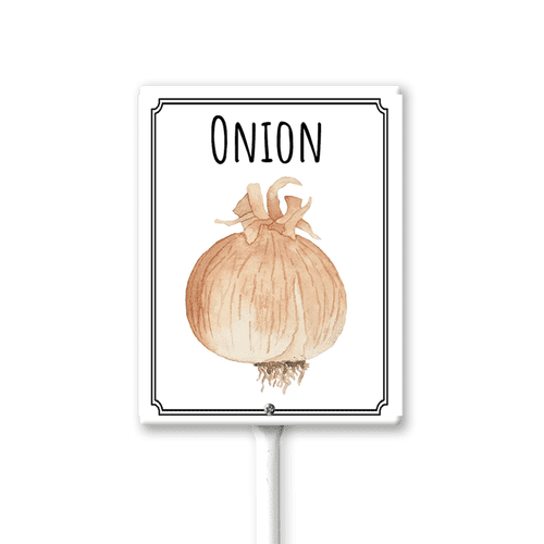 Eveokoki Vegetable Signs For Garden With Stake Onion Yard Sign ...