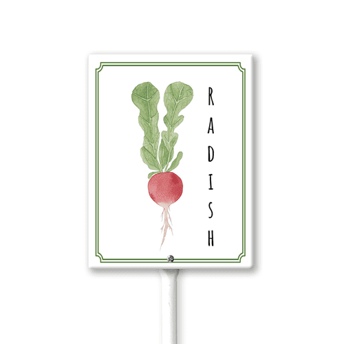 Eveokoki Vegetable Signs For Garden With Stake Radish Yard Sign ...