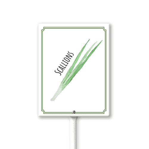 Eveokoki Vegetable Signs For Garden With Stake Scallions Yard Sign ...