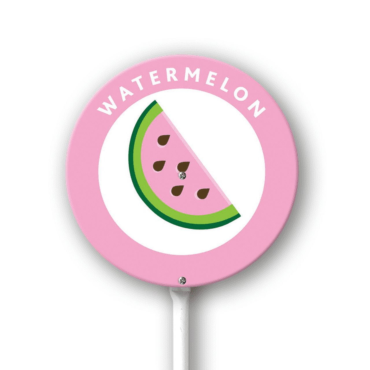 Eveokoki Vegetable Signs For Garden With Stake Watermelon Yard Sign ...