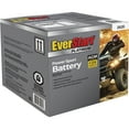 Free Shipping! EverStart AGM PowerSport Battery, Group Size 20LBS, 12V ...