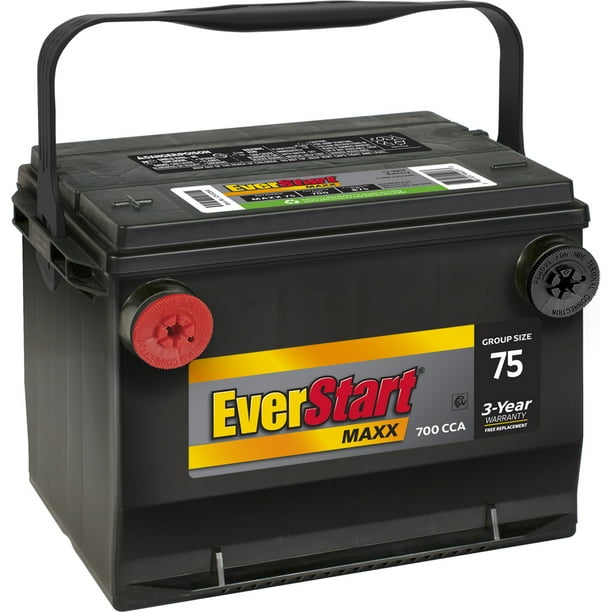 EverStart Maxx Lead Acid Automotive Battery, Group 75 12 Volt, 700 CCA ...