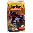 EverStart PowerSport Battery - Power - Spill-proof Design - Walmart.com