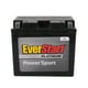 EverStart PowerSport Factory Activated AGM Motorcycle Battery EBX16CL ...