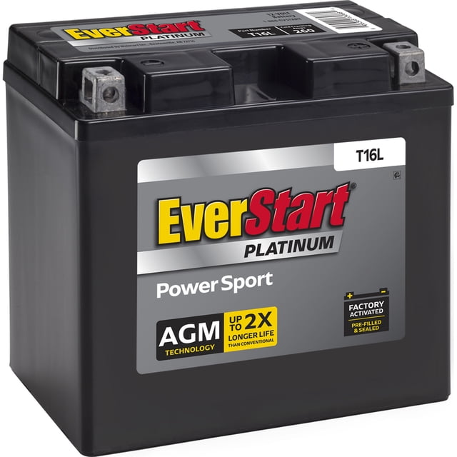 EverStart Platinum BOXED AGM Power Sport Battery, Group Size T16L 12 ...