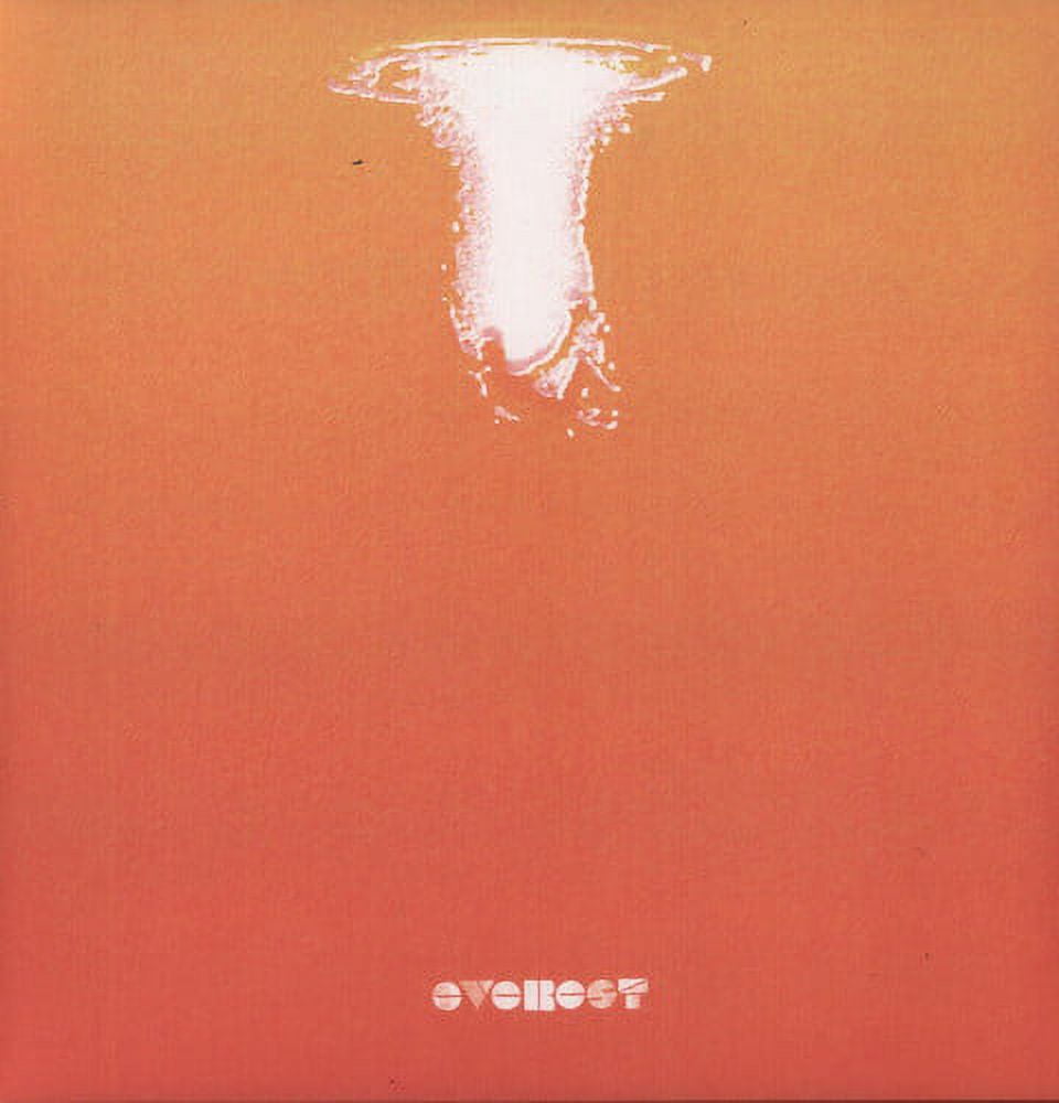 Everest - Ownerless - Alternative - Vinyl - Walmart.com